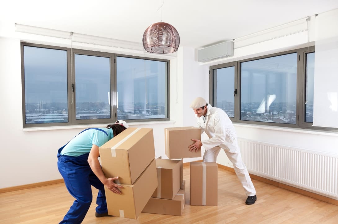 Perlukah Menggunakan Jasa Pindahan Kantor? - Saga Movers
